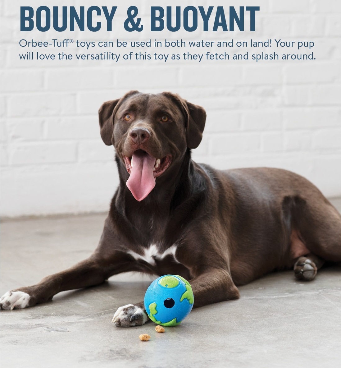 Игрушка для собак Planet Dog Orbee Ball мяч сине-зелёный 7см – купить в ...